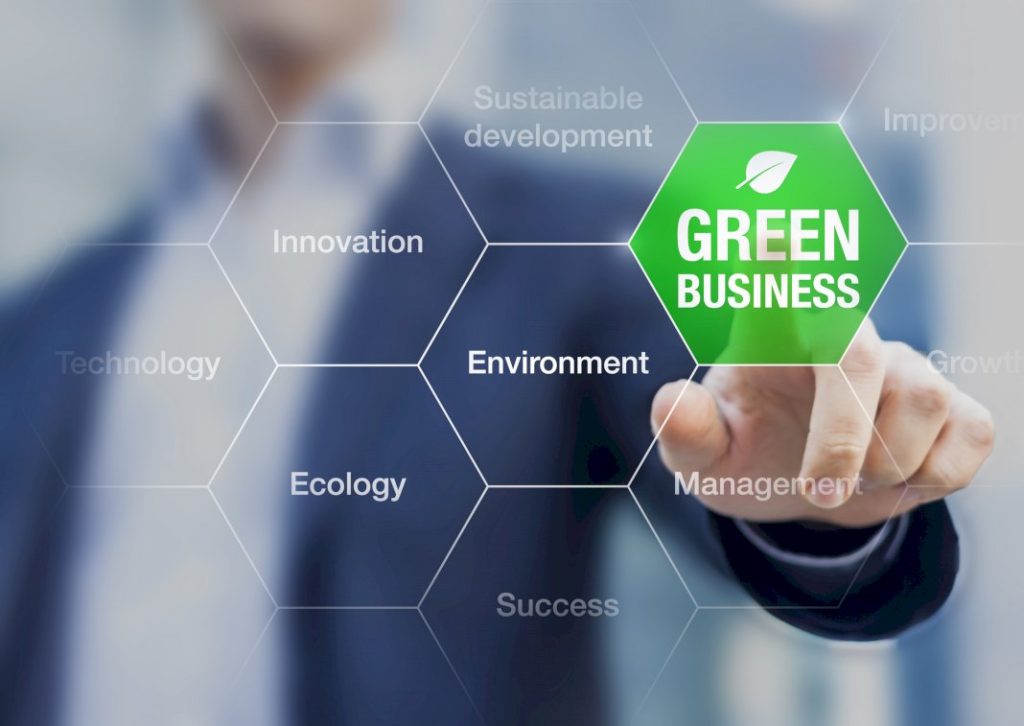 Building a Greener Business in the Startup Landscape